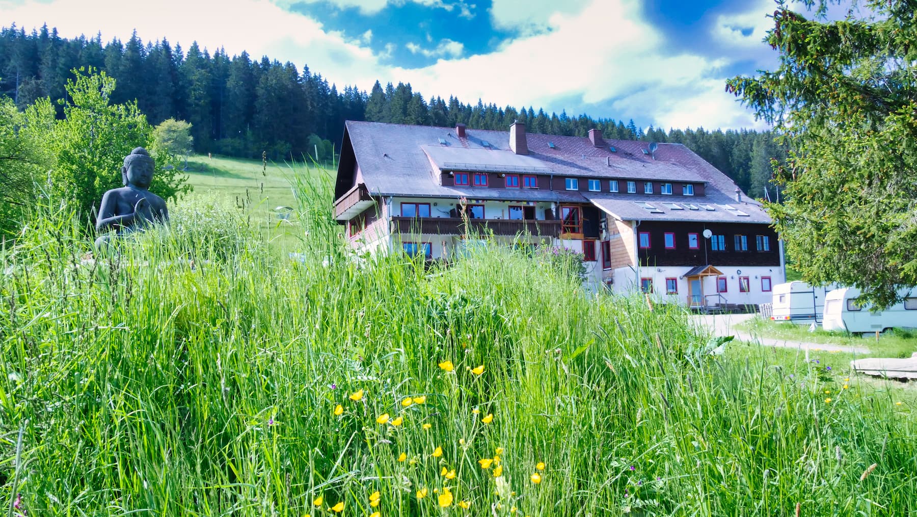 Grüner Baum - Ekayana Institut